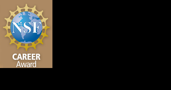 STEAM Member, David Penneys, Awarded the NSF Grant Award | The STEAM ...